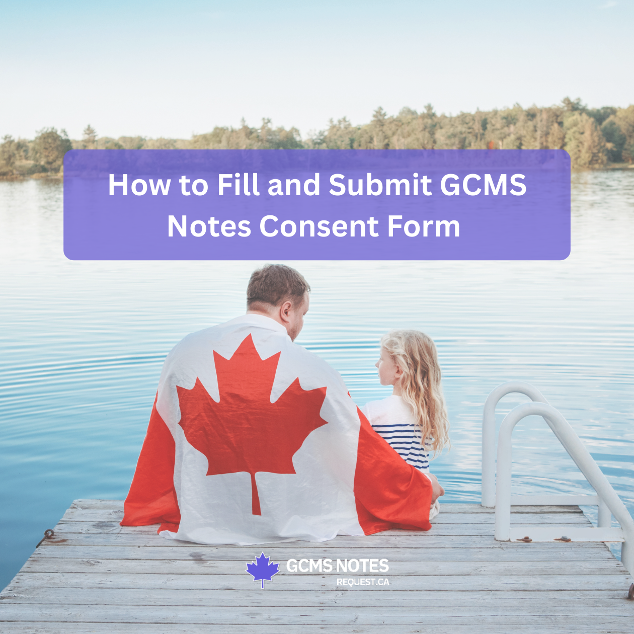 GCMS Notes Consent Form | How to Fill and Submit | GCMS Notes Request